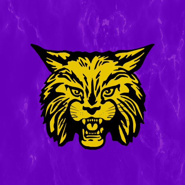 Carrier Mills-Stonefort CUSD 2